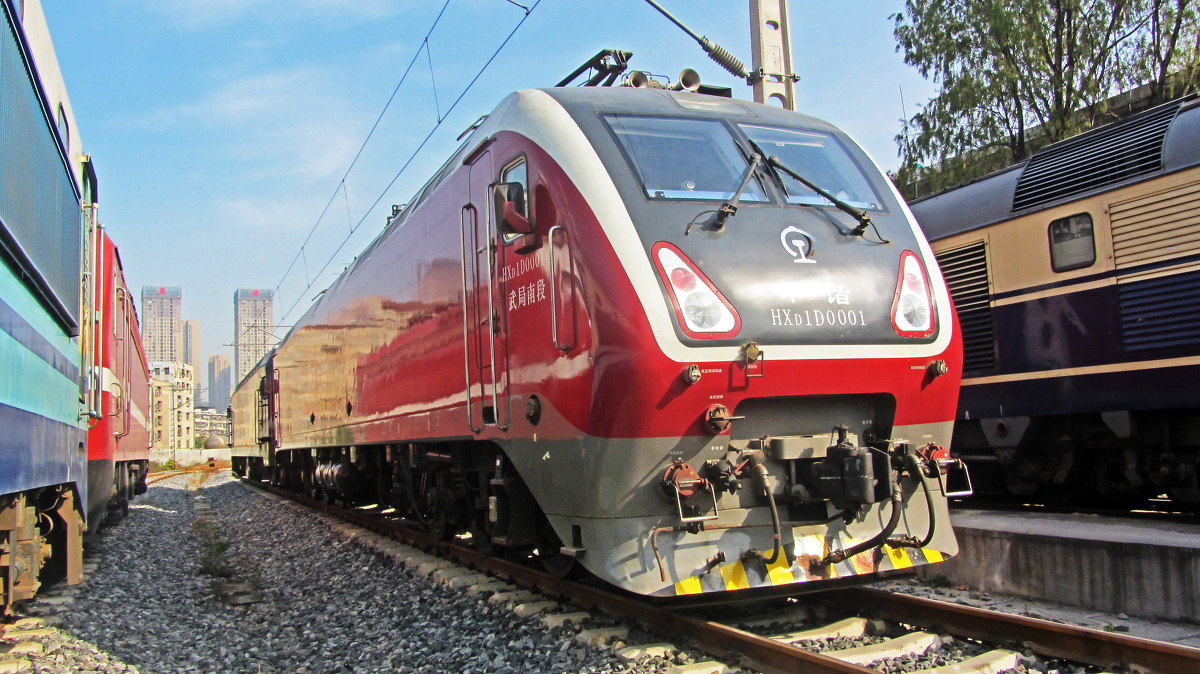 hxd1d蟑螂,蟑螂耳,粘捕蟑螂_大山谷图库