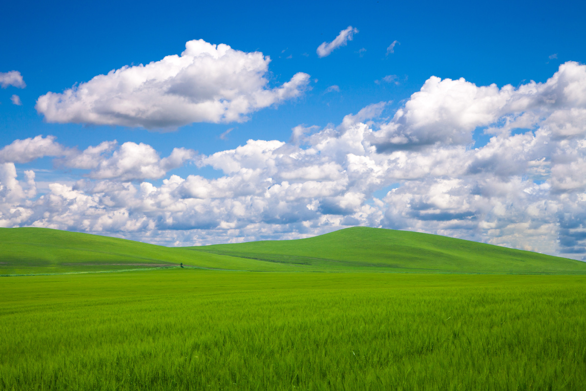 XP经典壁纸-千图网